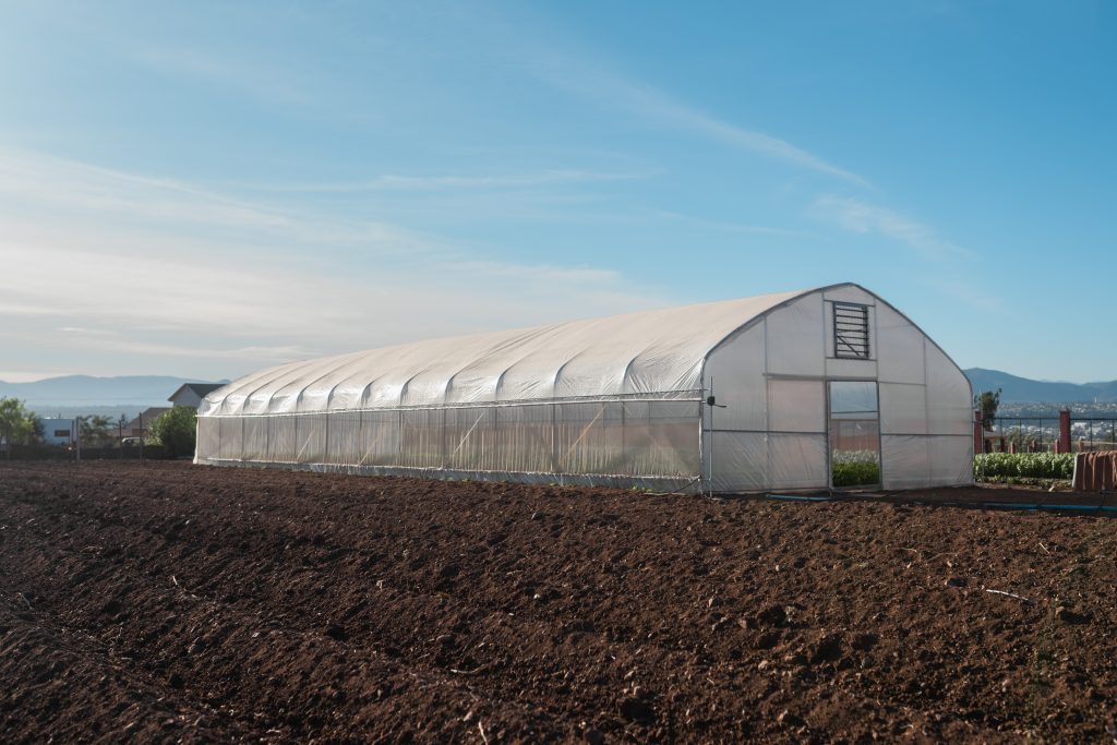 ¿Inversión Rentable? Lo Que Debes Saber Sobre los Invernaderos - ARAVA